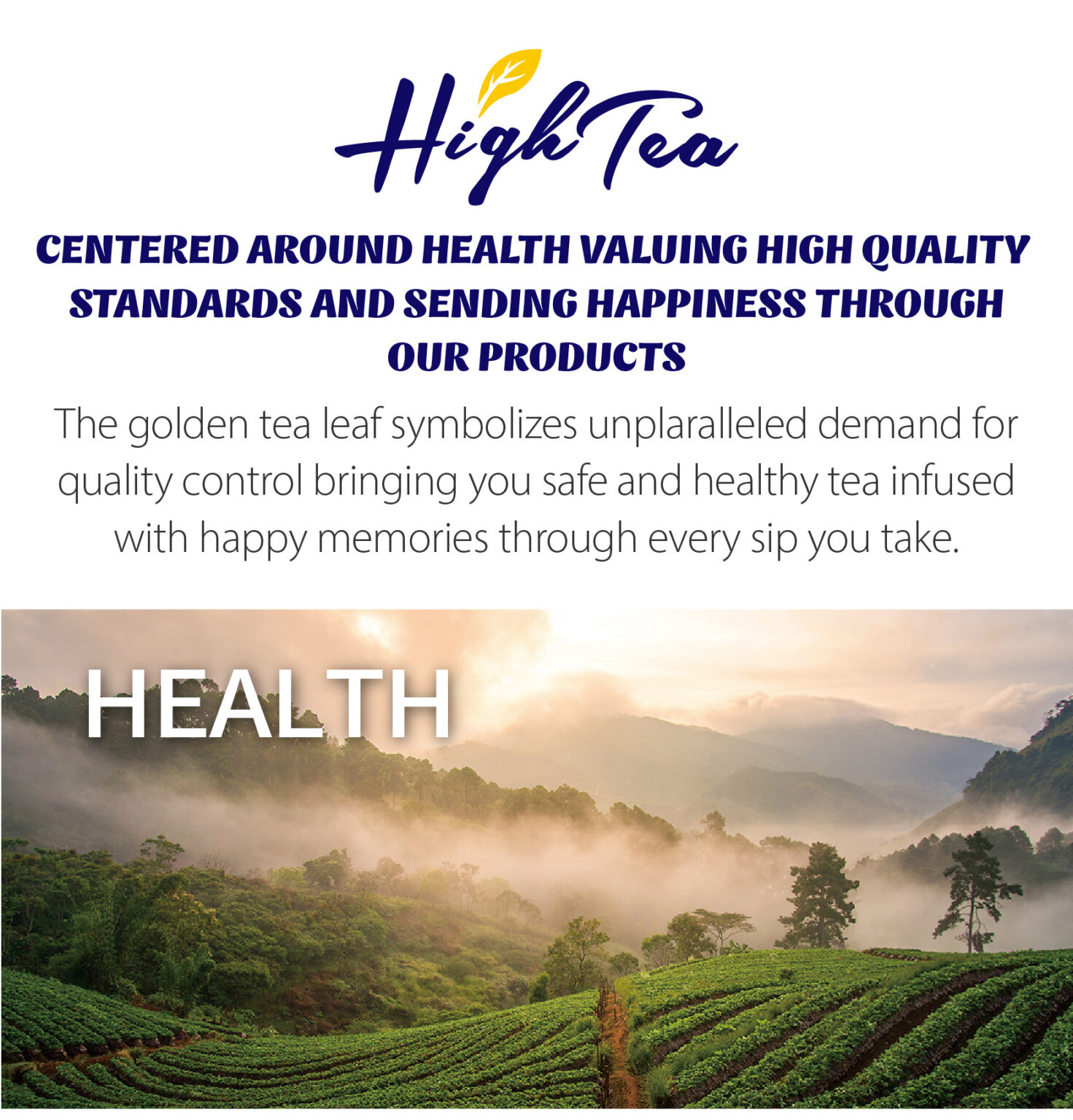 About Us - PEICHEN(HIGHTEA)